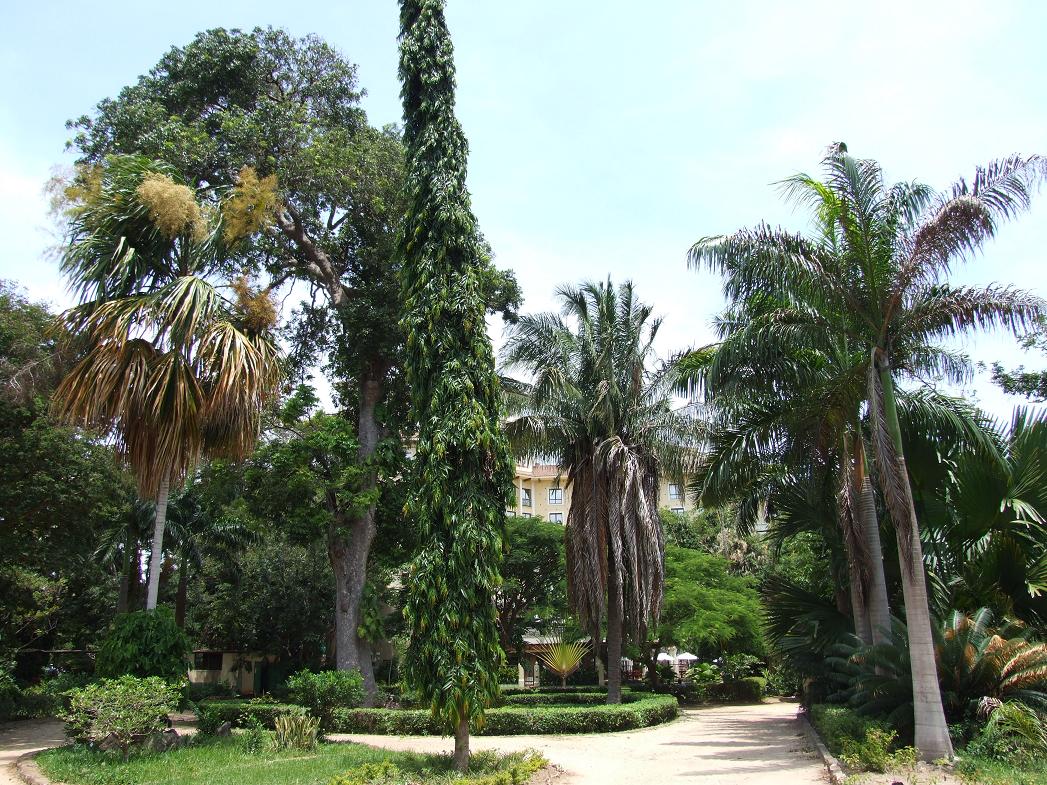 Pics from Dar es Salaam (Tanzania)