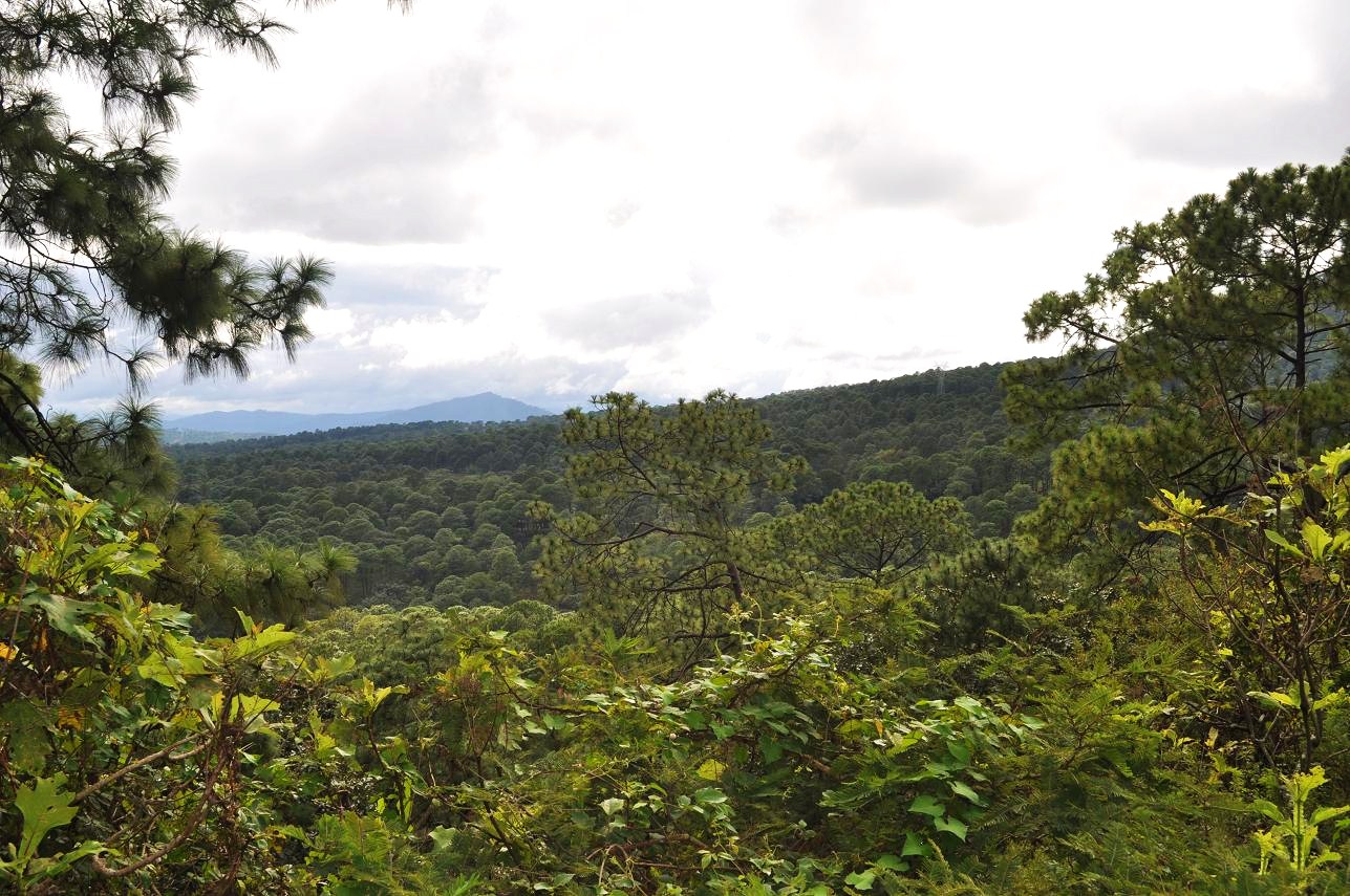 Other Pics from Southwestern Mexico